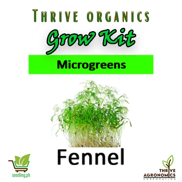 Organic Fennel Microgreens Grow Kit Seedling Kit Starter Kit Planting ...