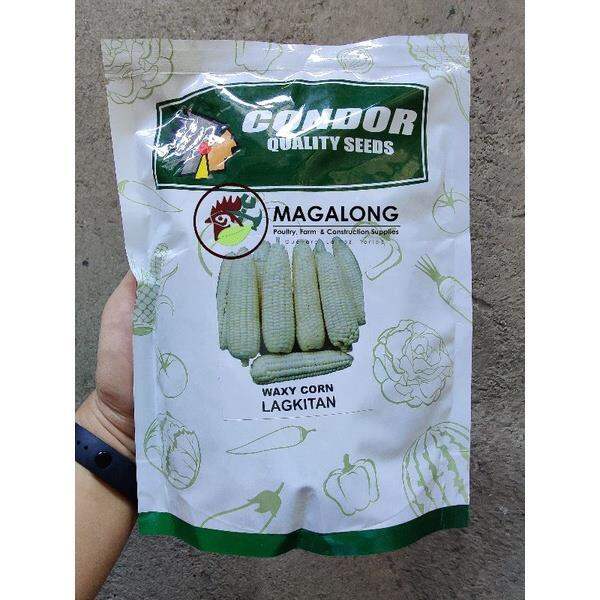 CONDOR SEEDS - WAXY CORN LAGKITAN 1 KILO | Lazada PH