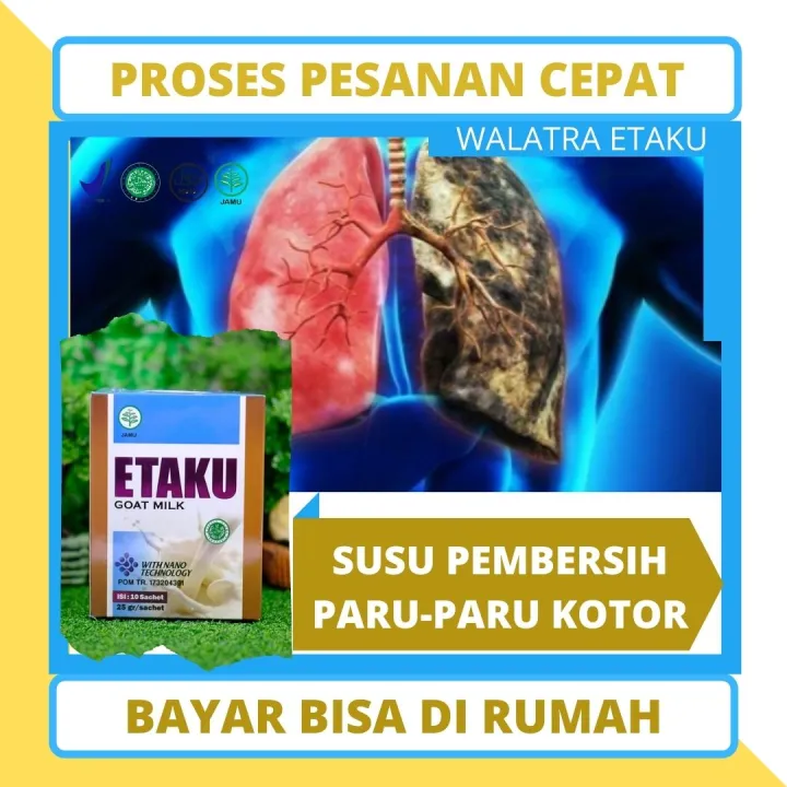 Susu pembersih paru-paru kotor anak dan dewasa = Obat luka paru-paru ...