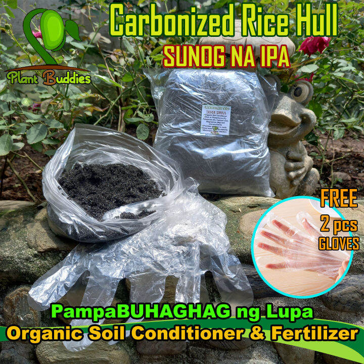 Carbonized Rice Hull Sunog na Ipa Organic Fertilizer FREE 2 PCS ...