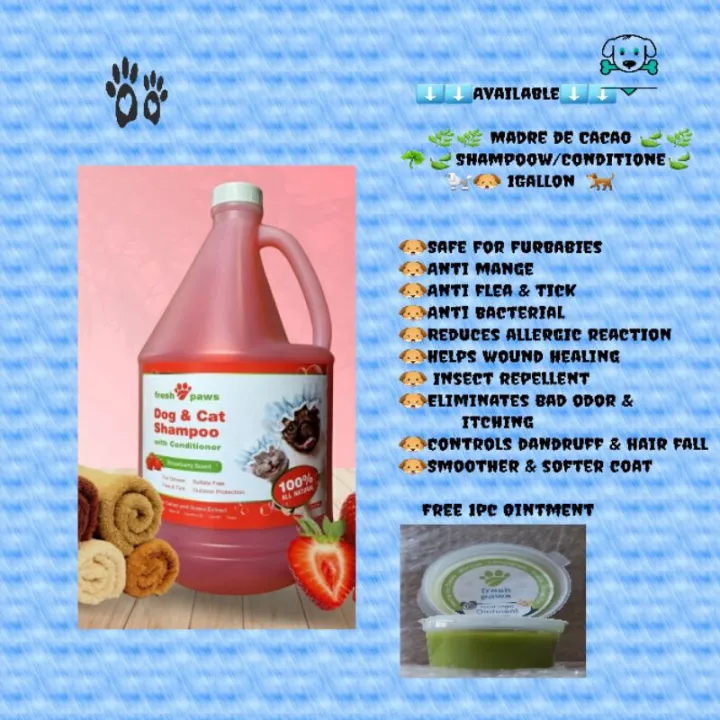 Madre de cacao dog/cat shampoo w/ conditioner strawberry scent free mdc ...
