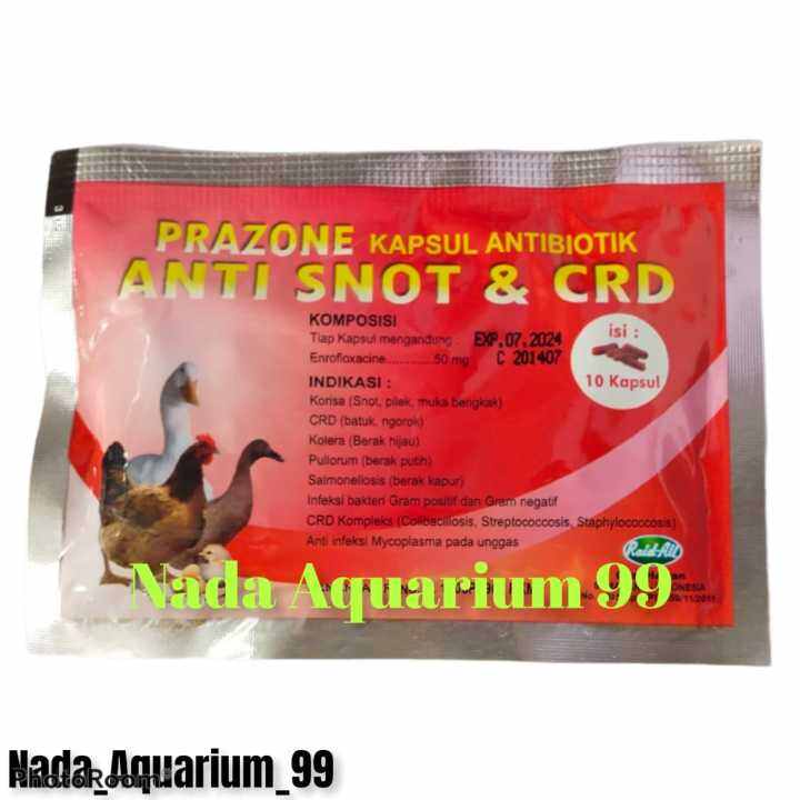 Anti snot & CRD Prazone kapsul antibiotik untuk ayam [ ungas ] | Lazada ...