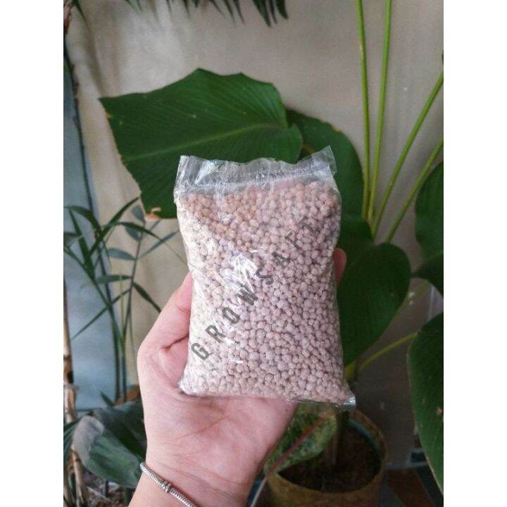 GROWSAFE - Complete fertilizer repacked durable | Lazada PH