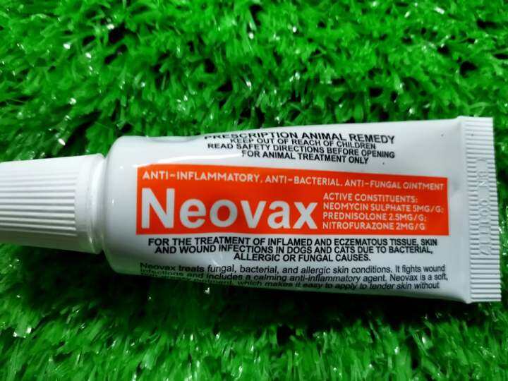 Neovax Ointment (Anti-inflammatory, Anti-bacterial, Anti-fungal) for ...