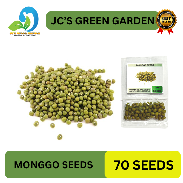 VALUE PACK (70 SEEDS) MONGGO SEEDS/MUNGBEANS/HIGH YIELD/EASY TO GROW - FOR PLANTING ONLY | Lazada PH