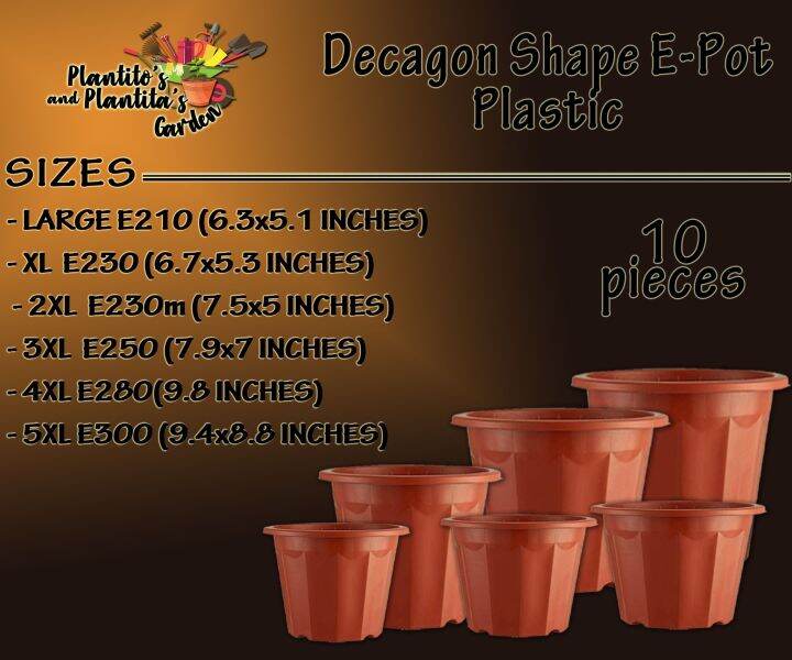 10 Pieces Decagon Shape E-Pot plastic | Lazada PH