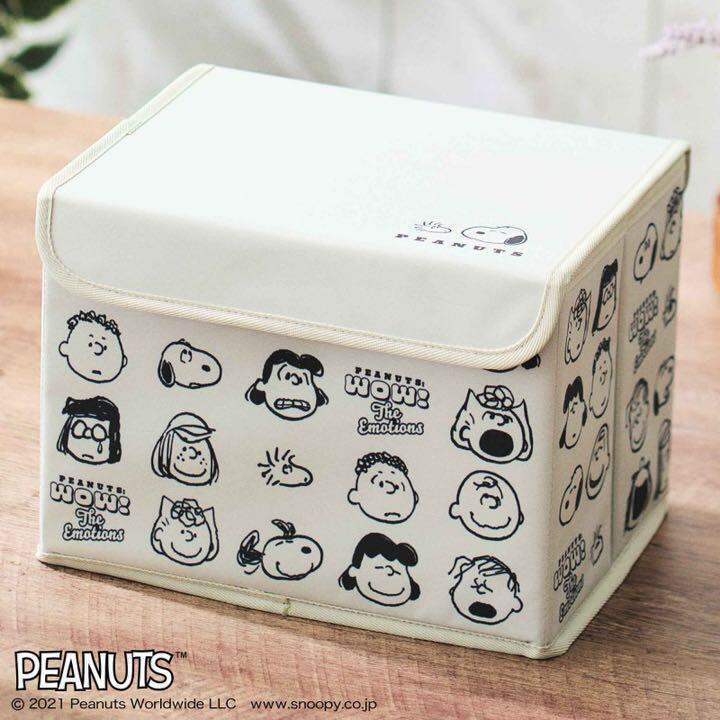 Japan Magazine Snoopy families Multipurpose Storage Box | Lazada