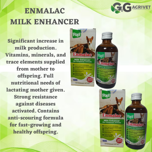 [G&G] 2PCS PAPI ENMALAC / 120 ML / MILK ENHANCER / FOR DOGS / CATS ...