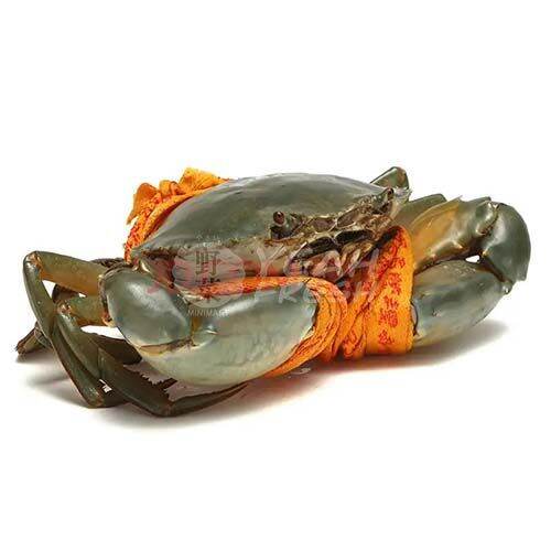 【Pre-order】Alimango Female Approx. 500g | Lazada PH