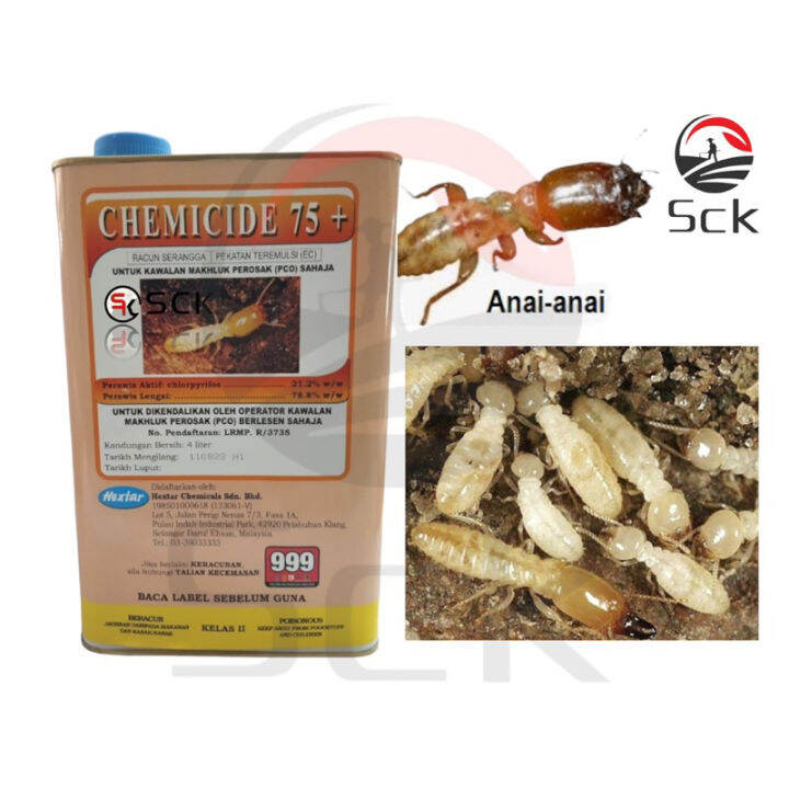 Chemicide 75+ Chlorpyrifos 4L (Termite/Racun Anai-Anai)Racun serangga|Pest Control | Lazada
