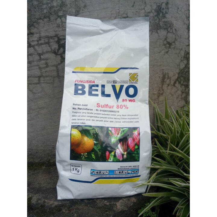 Fungisida Belvo 80 WG | Lazada Indonesia