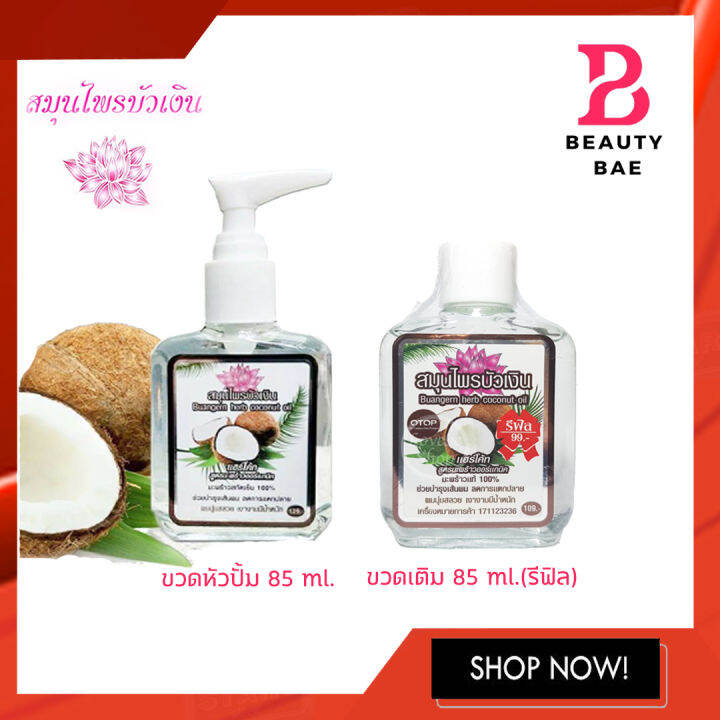 (สูตรมะพร้าว) Buangern herb coconut oil สมุนไพร บัวเงิน บัวเง็น แฮร์โค้ท สูตรมะพร้าวออร์แกนิค ...