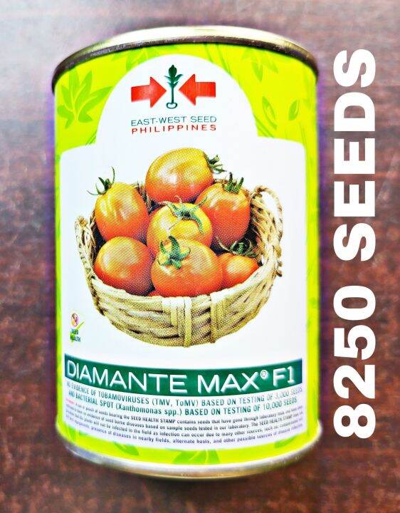 DIAMANTE MAX F1 HYBRID TOMATO SEEDS (8250 SEEDS) EAST WEST | Lazada PH