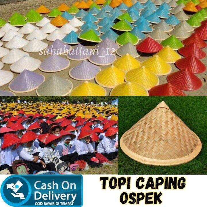 Caping petani polos diameter 38cm, topi caping warna untuk ospek ...