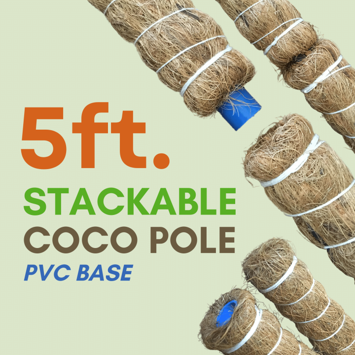 Coco Pole STACKABLE 5ft. (3ft. + 2ft.) | Lazada PH