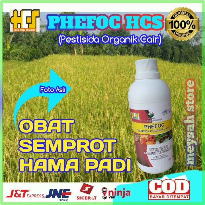 Obat Semprot Hama Padi Phefoc Original Pestisida Pembasmi Hama Tanaman ...