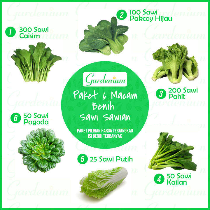 Paket 6 Macam Benih Tanaman Sawi Sawian Paktani ( Caisim Pakcoy Kailan ...