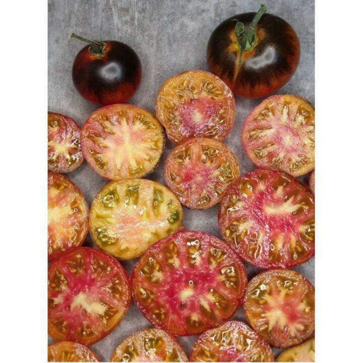 Alice's Dream Tomato Seedsm0t | Lazada PH
