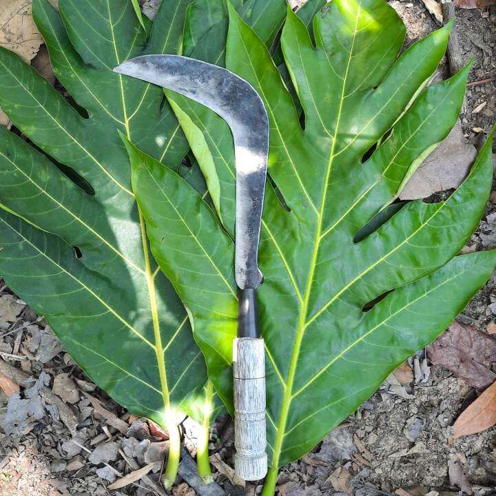 Arit Rumput Tajam Panjang Babat Semak - Sabit Pemotong Ranting Pohon ...