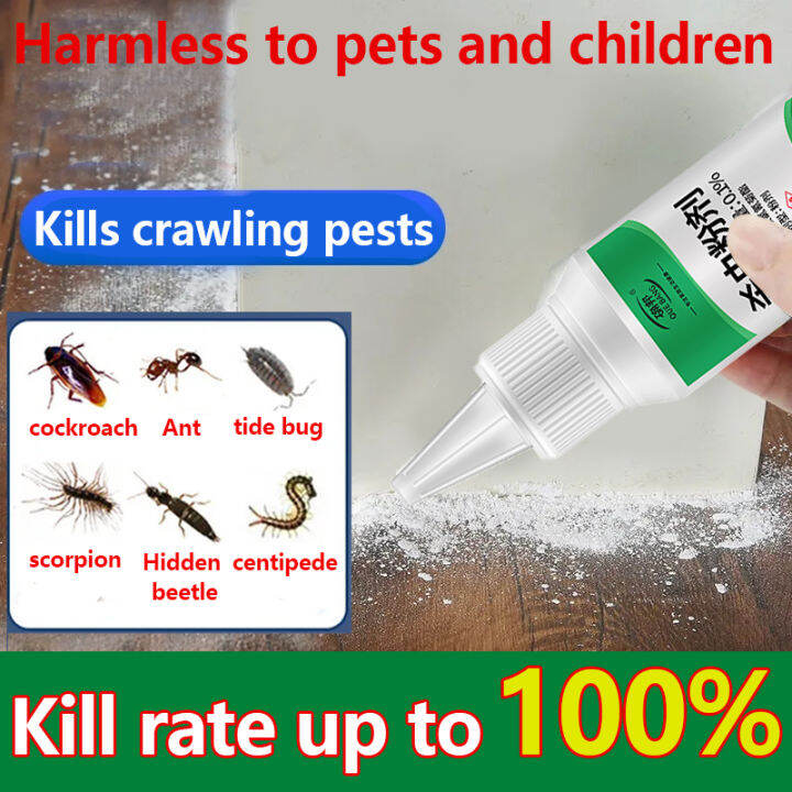 🔥Kill rate up to 100%🔥 60g insect repellent Powder Cockroach trap ...