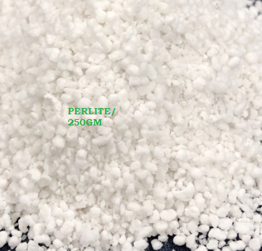 Perlite Media 3-6mm 250g Pack Aquaponics Hydroponics Soil Mix Seed ...