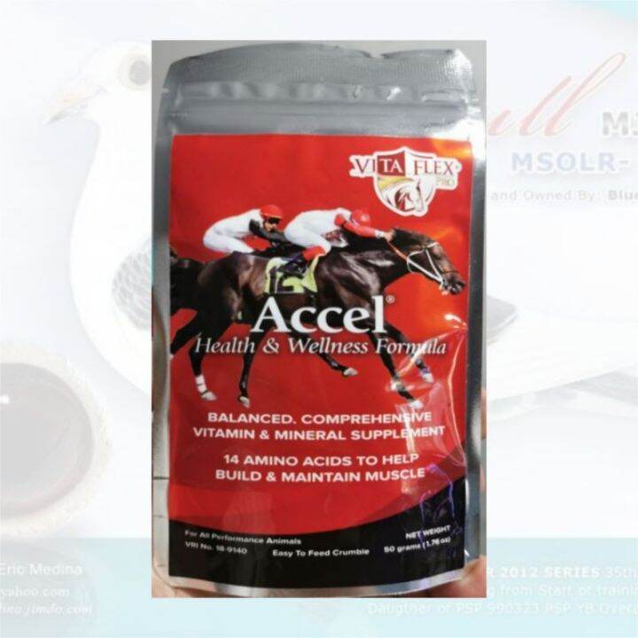 【READY STOCK】 Accel Healt And Wellness Formula 50g | Lazada PH