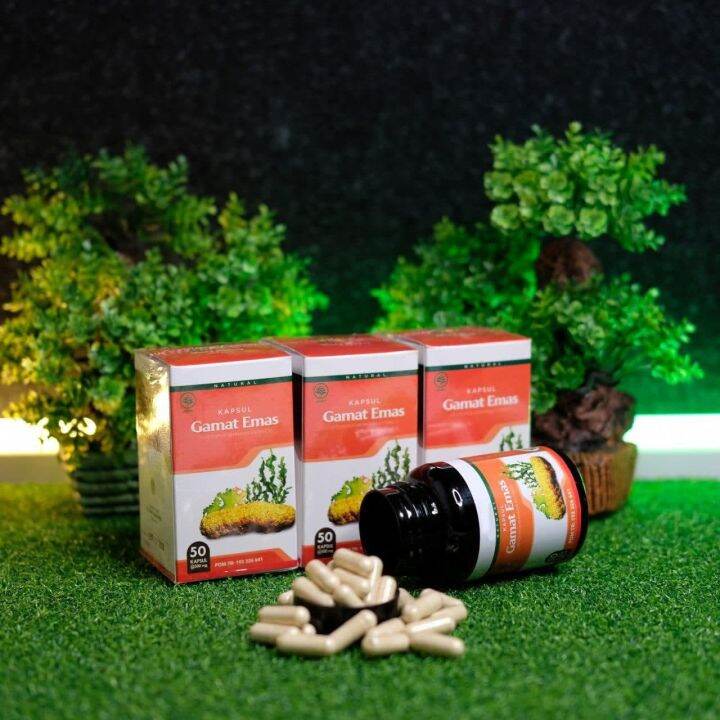 Kapsul gamat Emas Original | Lazada Indonesia