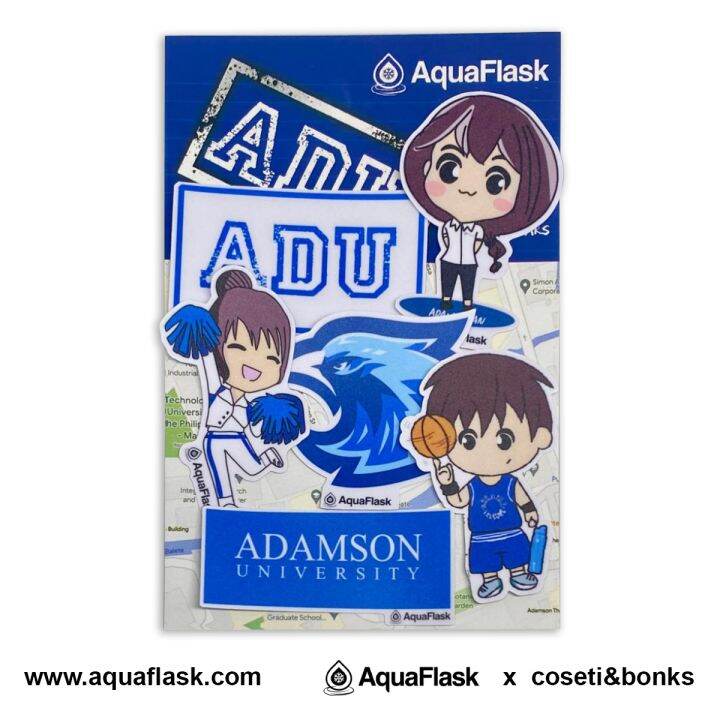 Aquaflask Bottle Sticker Aqua Flask | Lazada PH