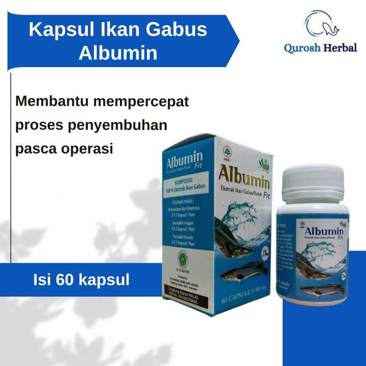 Albumin Fit Kapsul Ekstrak Ikan Gabus | kapsul ikan gabus yg pil ikan ...