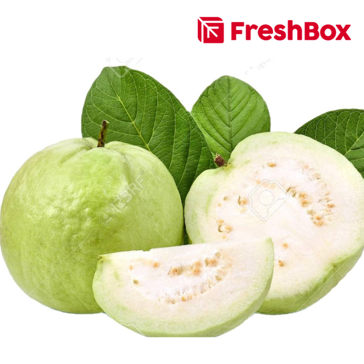 Jambu Kristal 500 - 600 gr FreshBox | Lazada Indonesia