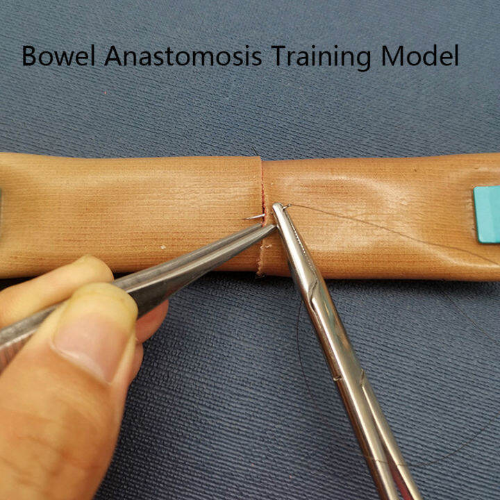 Bowel Anastomosis Training Model Laparoscopic Skill Suture practice kit ...