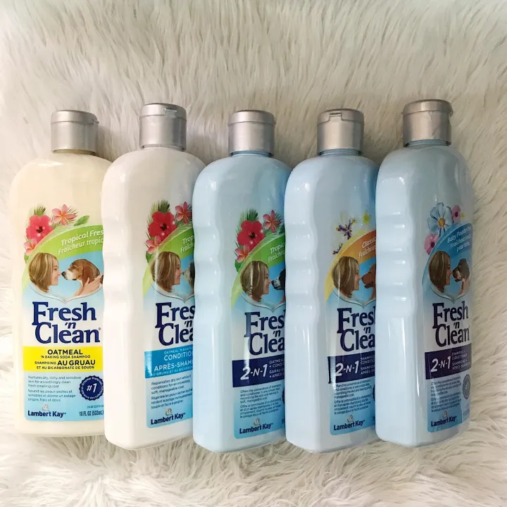 FRESH N' CLEAN SHAMPOO & CONDITIONER 533ML | Lazada PH