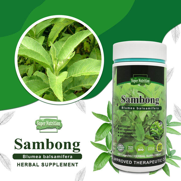 Sambong Capsules Food Supplement 100 | Lazada PH