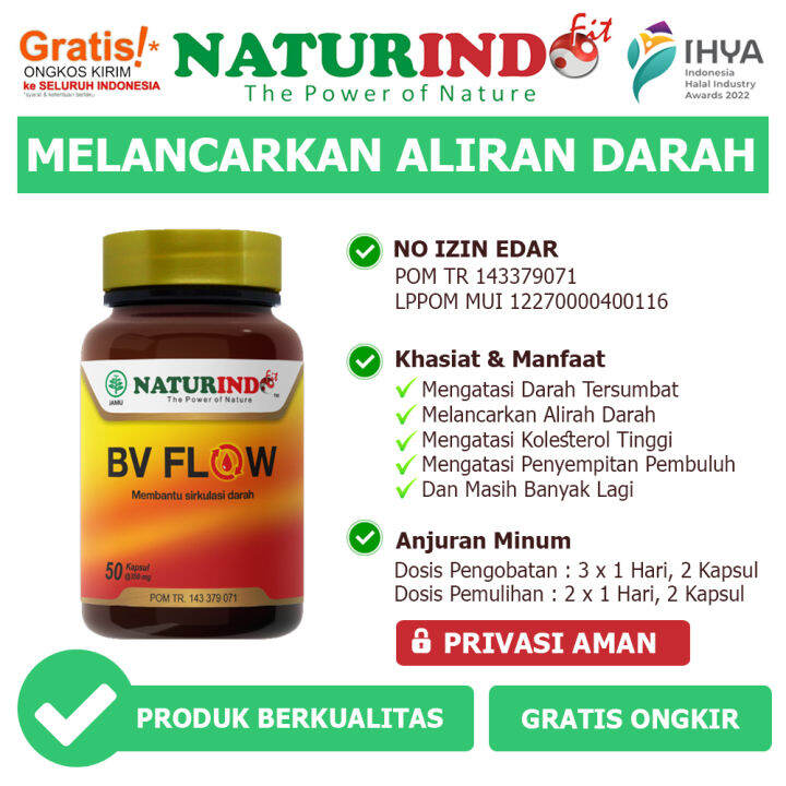BV Flow Untuk Pelancar Aliran Darah Beku Ampuh Pengencer Darah Kental ...