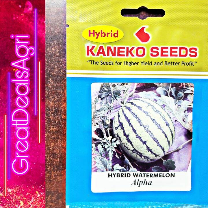 ALPHA HYBRID WATERMELON SEEDS (23 SEEDS) KANEKO SEEDS | Lazada PH