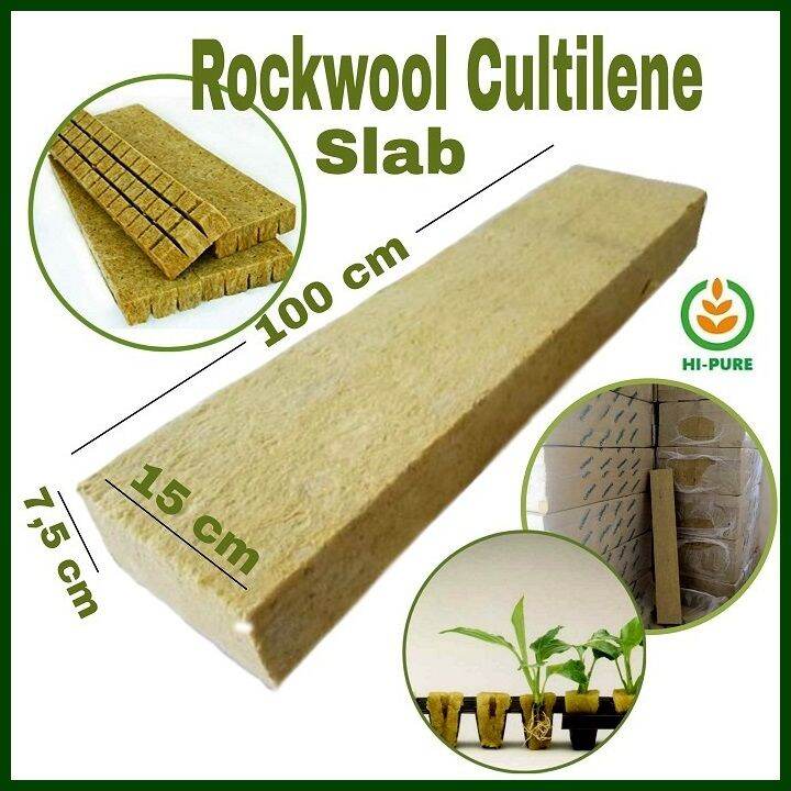 Rockwool Hidroponik Murah 1 SLAB (700 Kotak Tanam) : Rockwool Cultilene ...