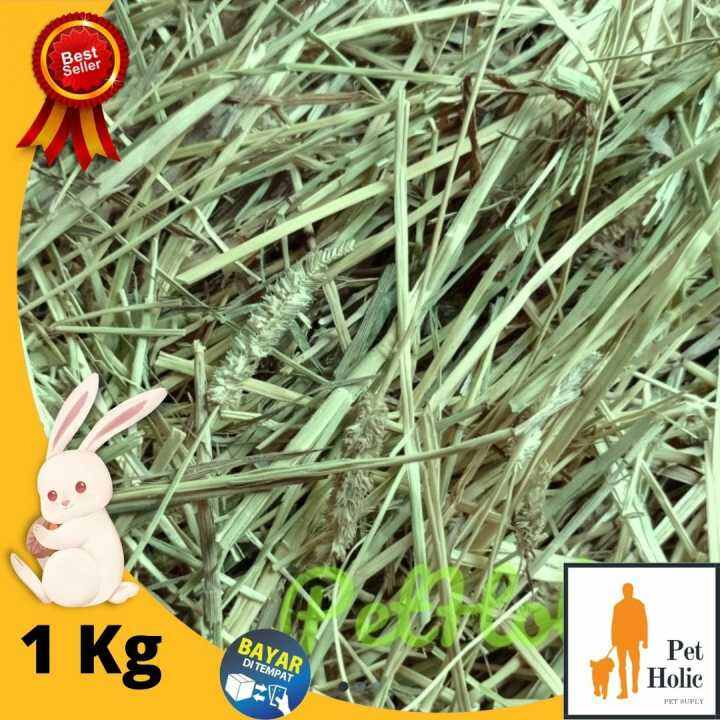 1st Choice Timothy Hay repack 1kg rumput pakan kelinci cavy chinchilla ...