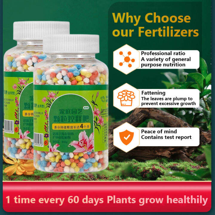 KDC General Controlled Release Fertilizer for Green Plants and Flowers ...