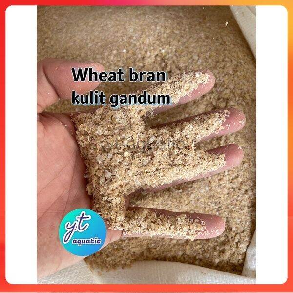 Wheat Bran repack 500g/Makanan Ternakan Kulit Gandum Halus 麦糠 麦麸 ...