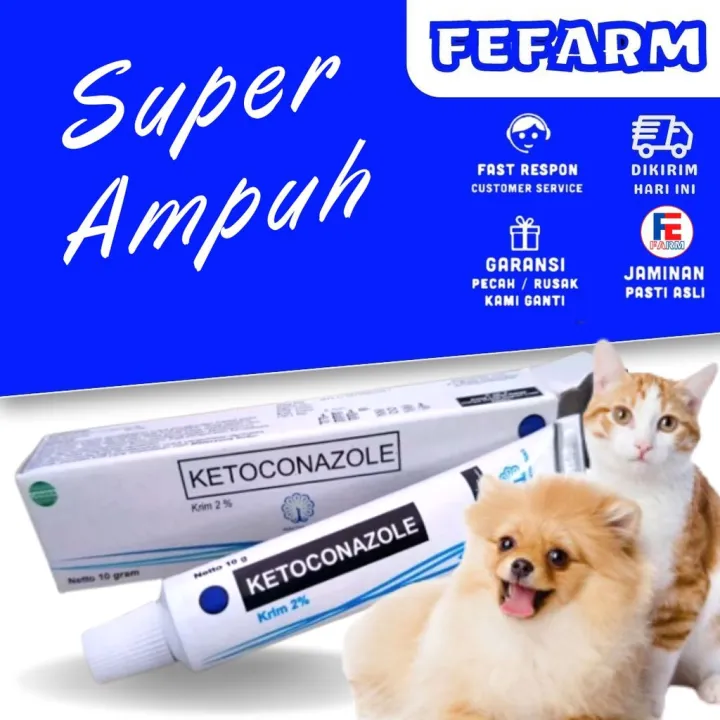 Obat Jamur Kucing - Salep Jamur Kucing Anjing Ketoconazole Obat Luka ...