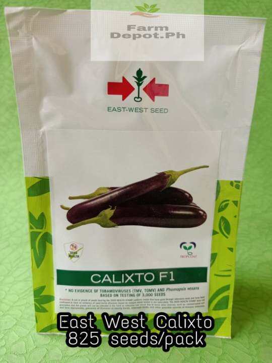 East West Eggplant Calixto F1 pack ( 825 seeds) | Lazada PH