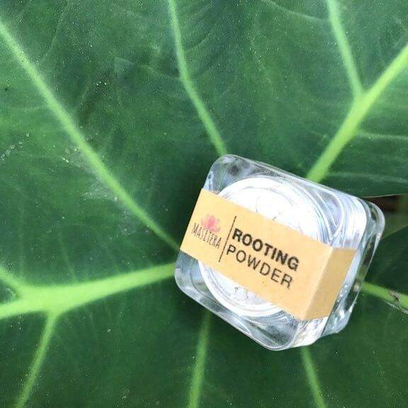 ♒rooting powder mabilis na lumalagong pulbos ng ugat MASITERA Rootįng ...
