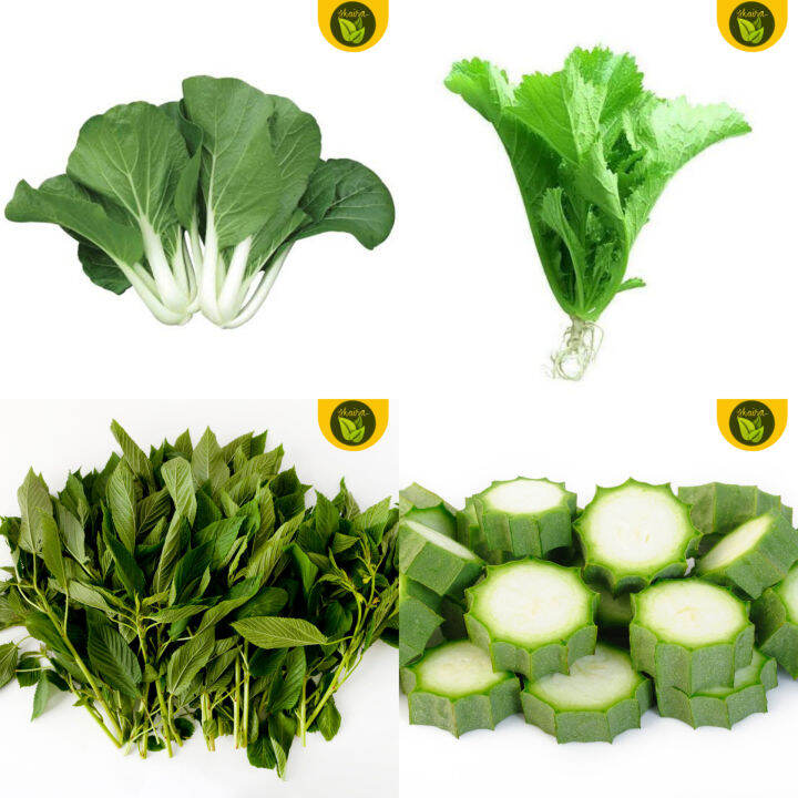 all in! 4 in 1 pack seeds binhi pantanim 100 pechay, 100 mustasa, 50 ...