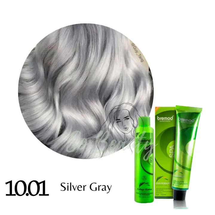 Silver Gray BREMOD Hair Color and Oxidizing Set 100ml With Freebie (10. ...