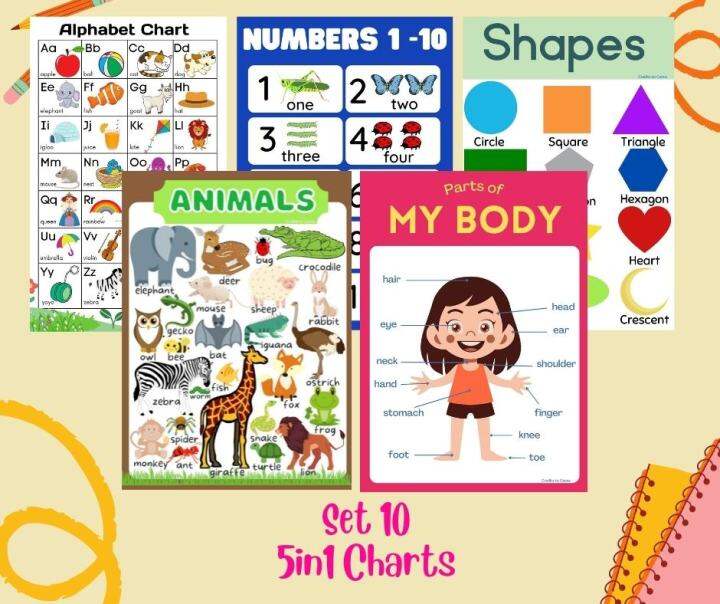 Bundle A4 Charts Laminated Wall Chart for Kids Learning Chart Alphabet ...