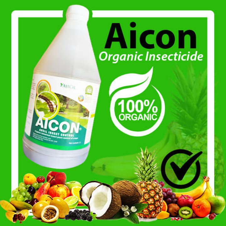 AICON ORGANIC INSECTICIDE 1L. AHCIL INSECT CONTROL. ORGANIC BOTANICAL ...