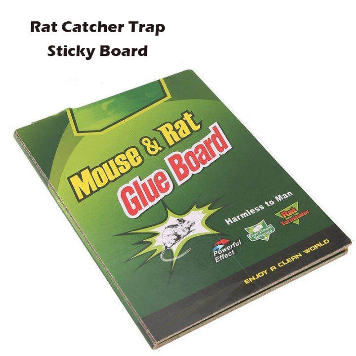 Rat Catcher Trap Sticky Board Control Sticky Rat Sticky Mouse Pelekat ...