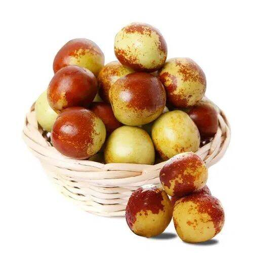 Jujube Fruit Tree superfruit Ziziphus jujube Fast Growing seeds | Lazada PH