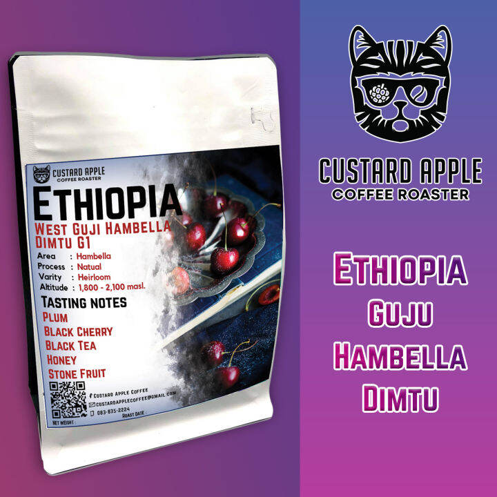 เมล็ดกาแฟ Ethiopia West guji hambella dimtu g1 | Lazada.co.th