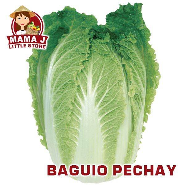BAGUIO PECHAY 500g | Lazada PH